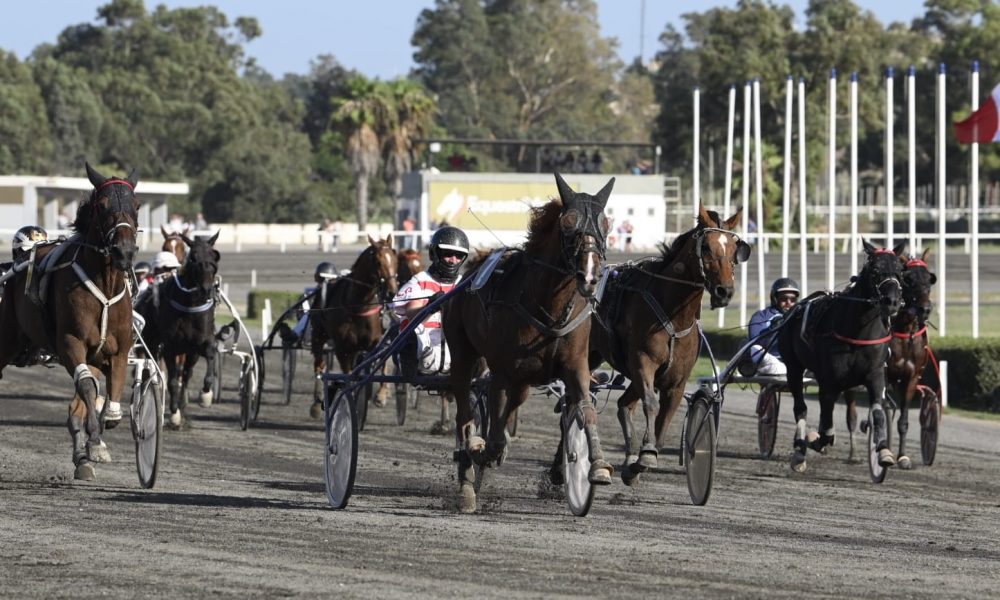 Fourth win of the year for Caid Sly - SportsDesk