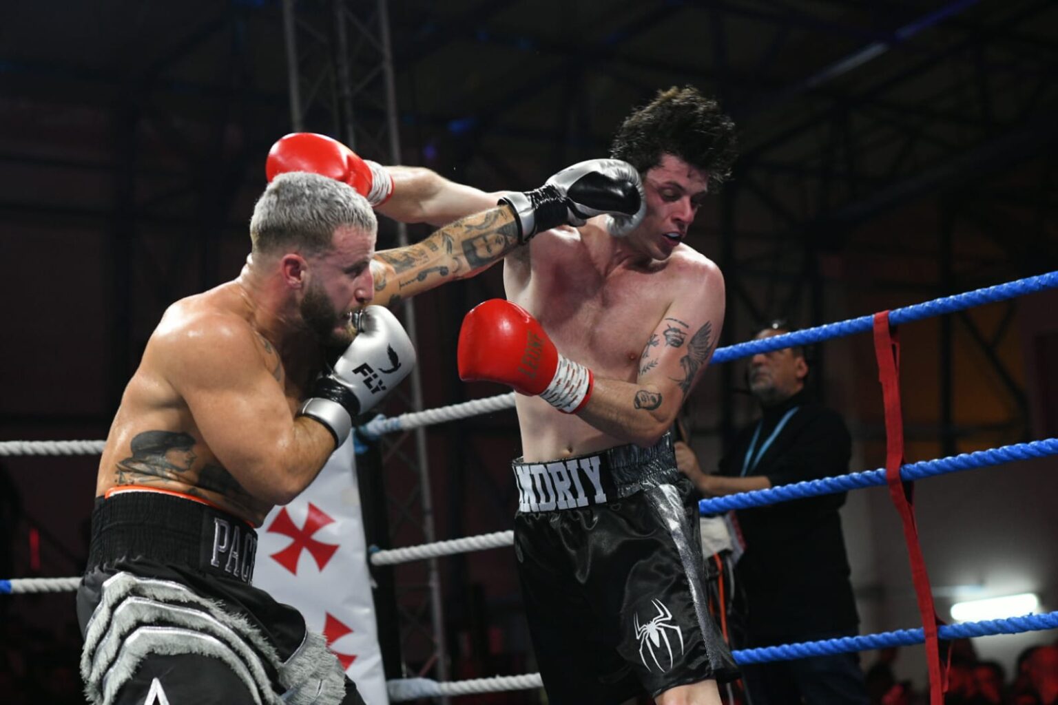 Live: Diacono wins women’s national title belt as Steve Martin beats ...